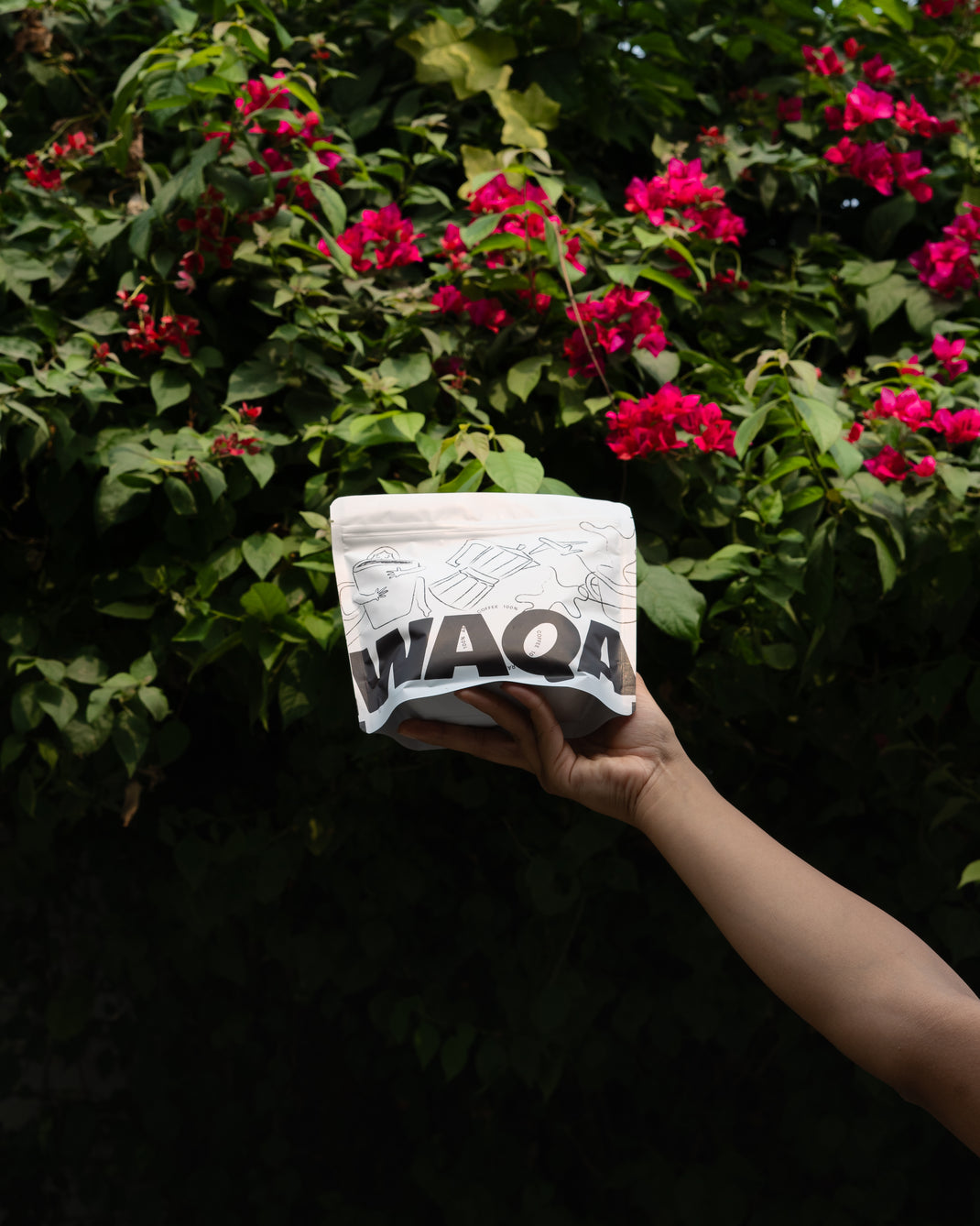 Our Story – WAQA